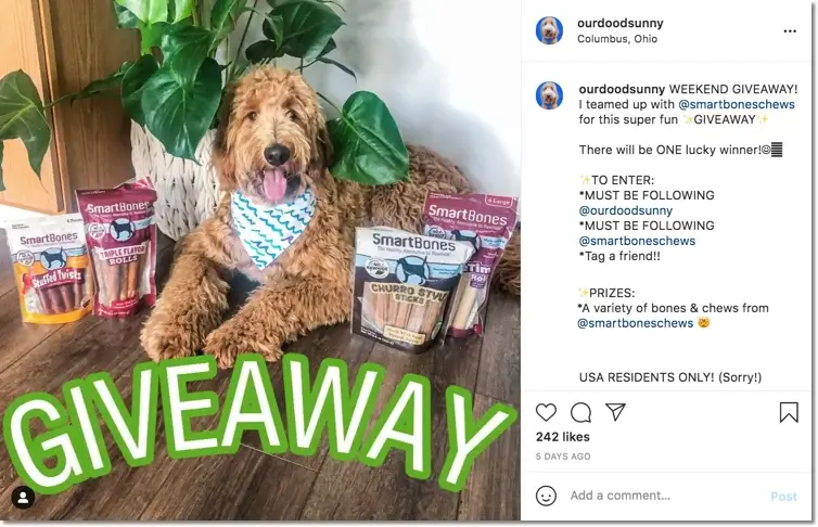 How to Celebrate Dog Day Online: Ideas for Giveaways and Contests
