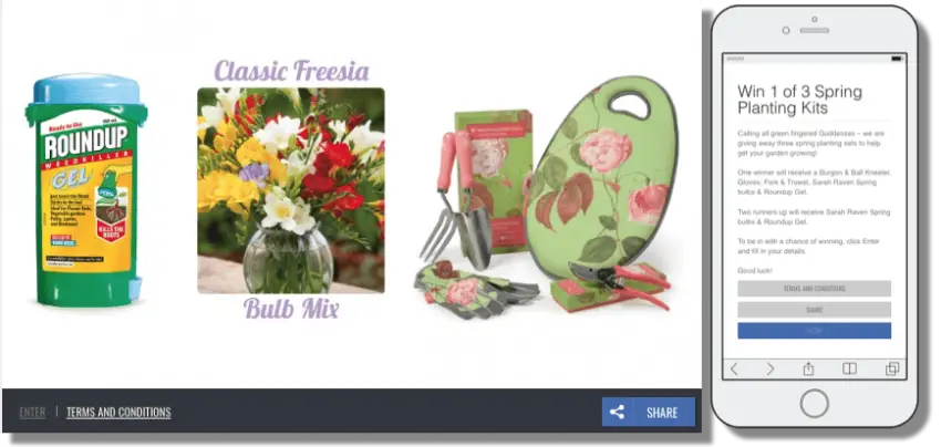 Spring Promotion Ideas to Help Your Business Grow