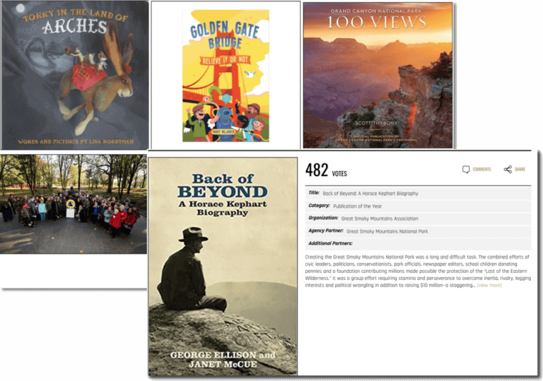 How to Organize Online Awards With a Voting App | Easypromos