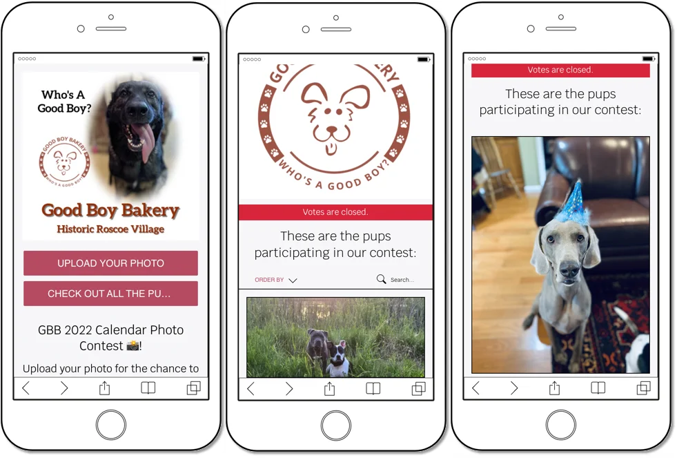 Photo Contest Ideas for Any Brand - Collect UGC Like a Pro