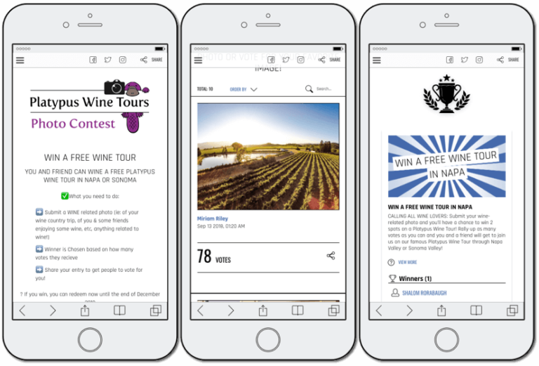 Enotourism and wine promotion ideas