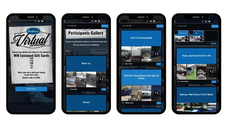 Annual contest online: How to organize yours